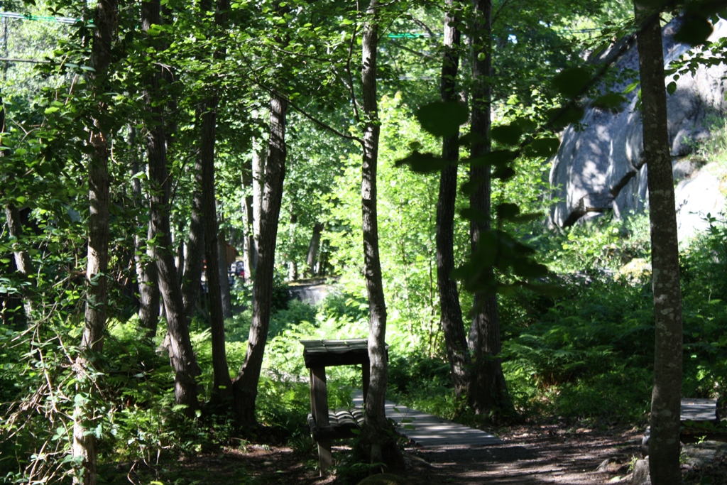 Ta roret kjerring Aktiv Fritid - ut på tur - Ta roret kjerring